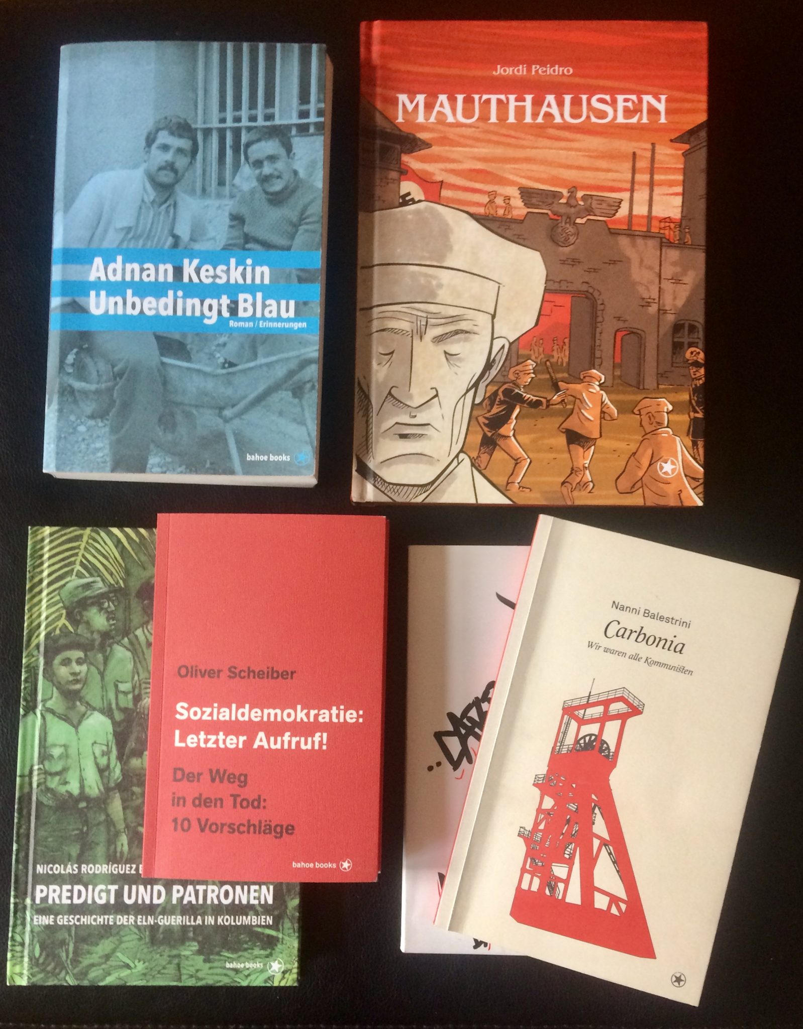 #Stimmlagen: Bahoe Books, ein linker Verlag aus Österreich | Öko ...