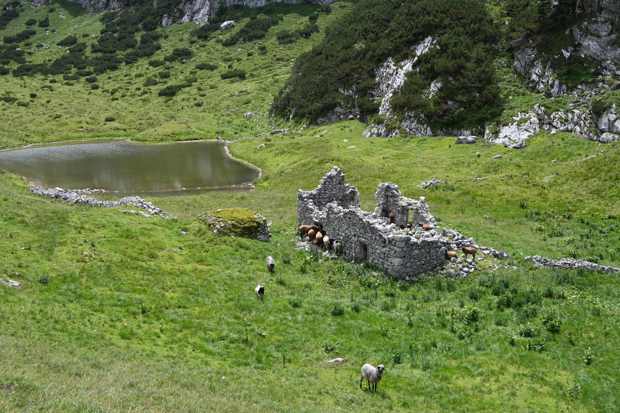 Geschichte erwandern im Tennengebirge - Radiofabrik